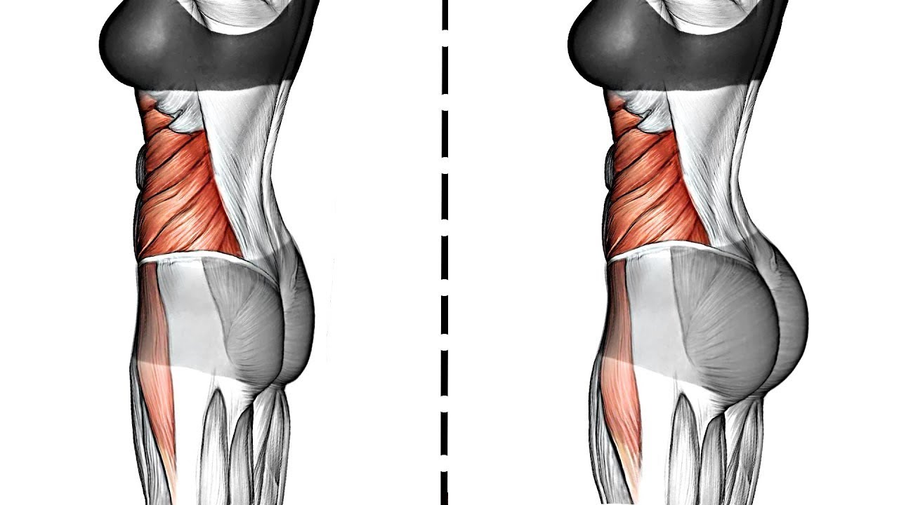 BUILD YOUR DREAM GLUTES WITH DUMBBELL WORKOUTS NOW - YouTube