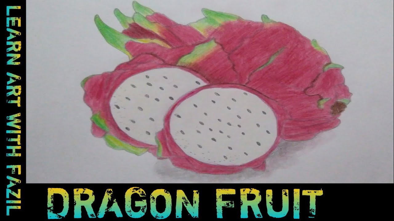 How to draw a dragon fruit | dragon fruit drawing - YouTube