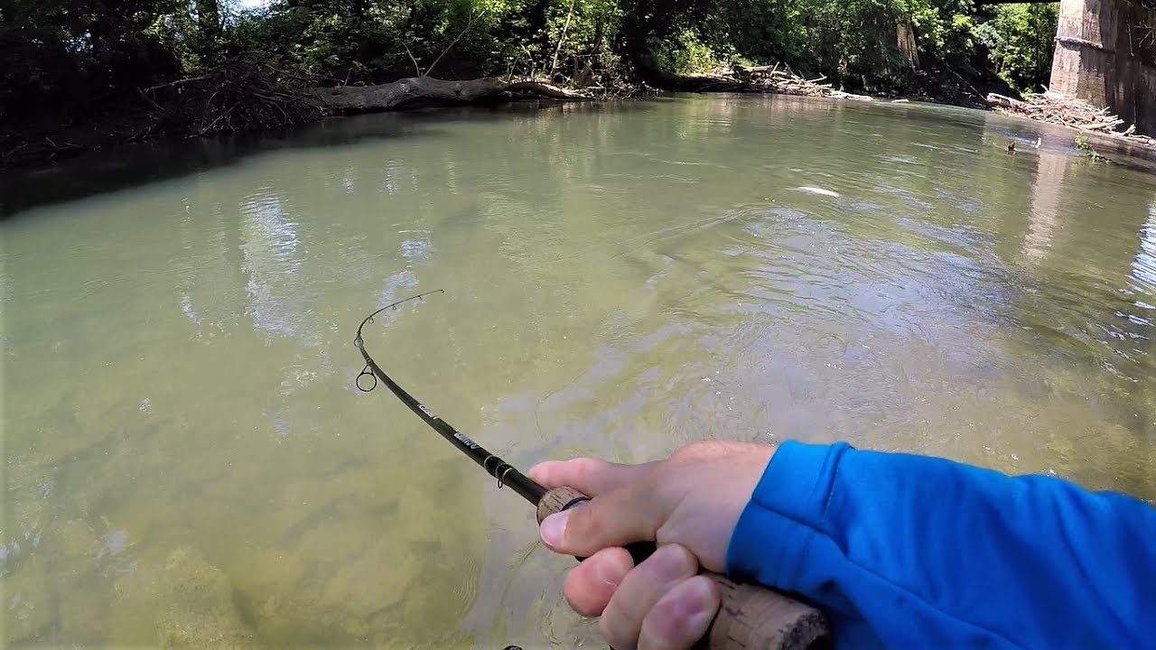 BROOK TROUT Fishing In The STREAM - YouTube