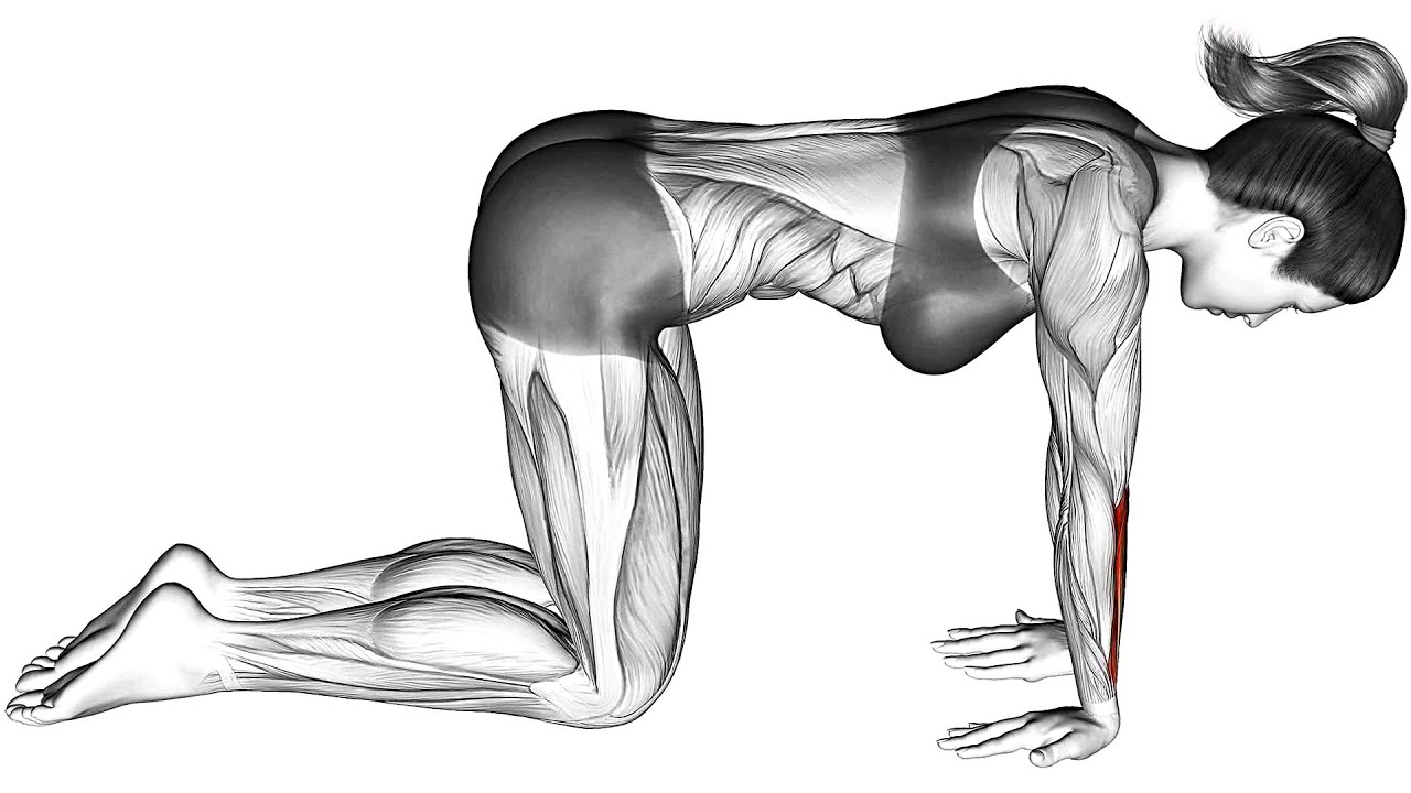 Do This to Strengthen Your Upper and Lower Back - YouTube