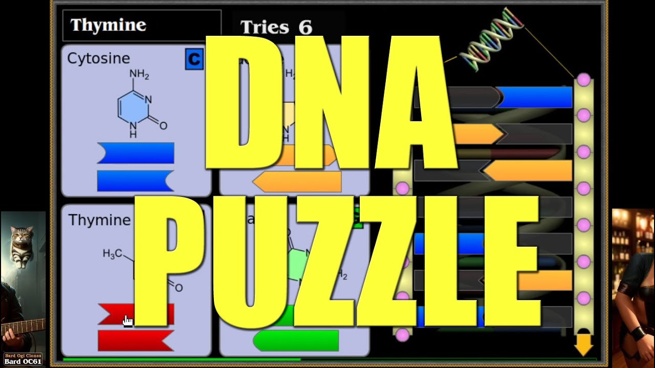 DNA Structure & Nitrogenous Bases: Fun Biology Puzzle Game 🦠🧩🎓 - YouTube