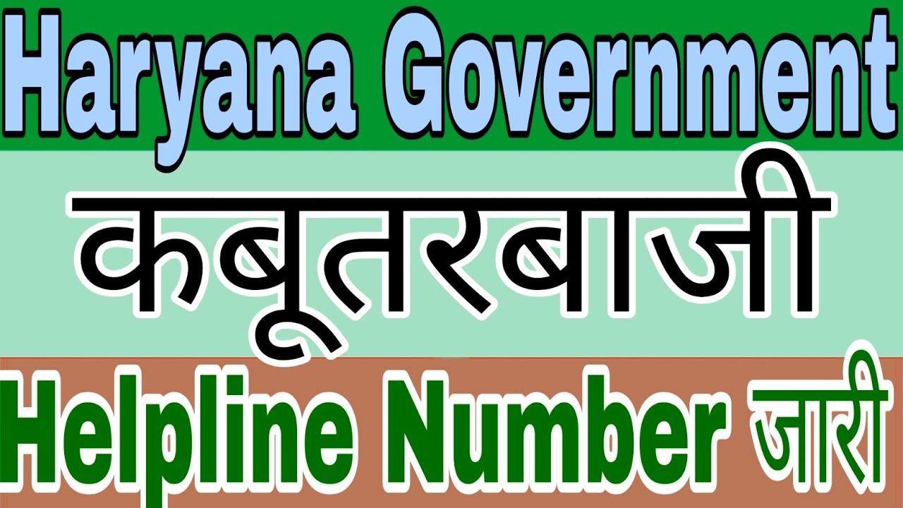 Haryana Government Helpline Number YouTube haryana-government-helpline-number-youtube