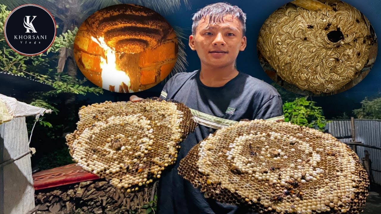 Black Hornet Hunting | कालो अरिङगालको सिकार | धेरै रोगको ओषधी | kalo ...