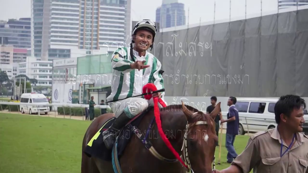 Thailand horse racing 19 พ.ย. 2560 เที่ยว 3 ม้าชั้น 2ข - YouTube