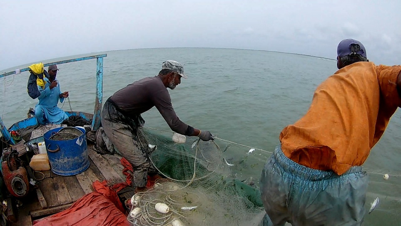 Nonstop Action Fishermen Catching Fish in Bulk! - YouTube