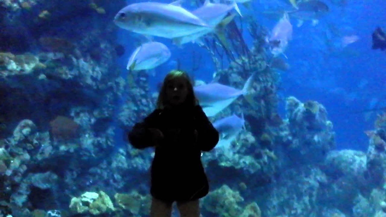 emma fish swim - YouTube
