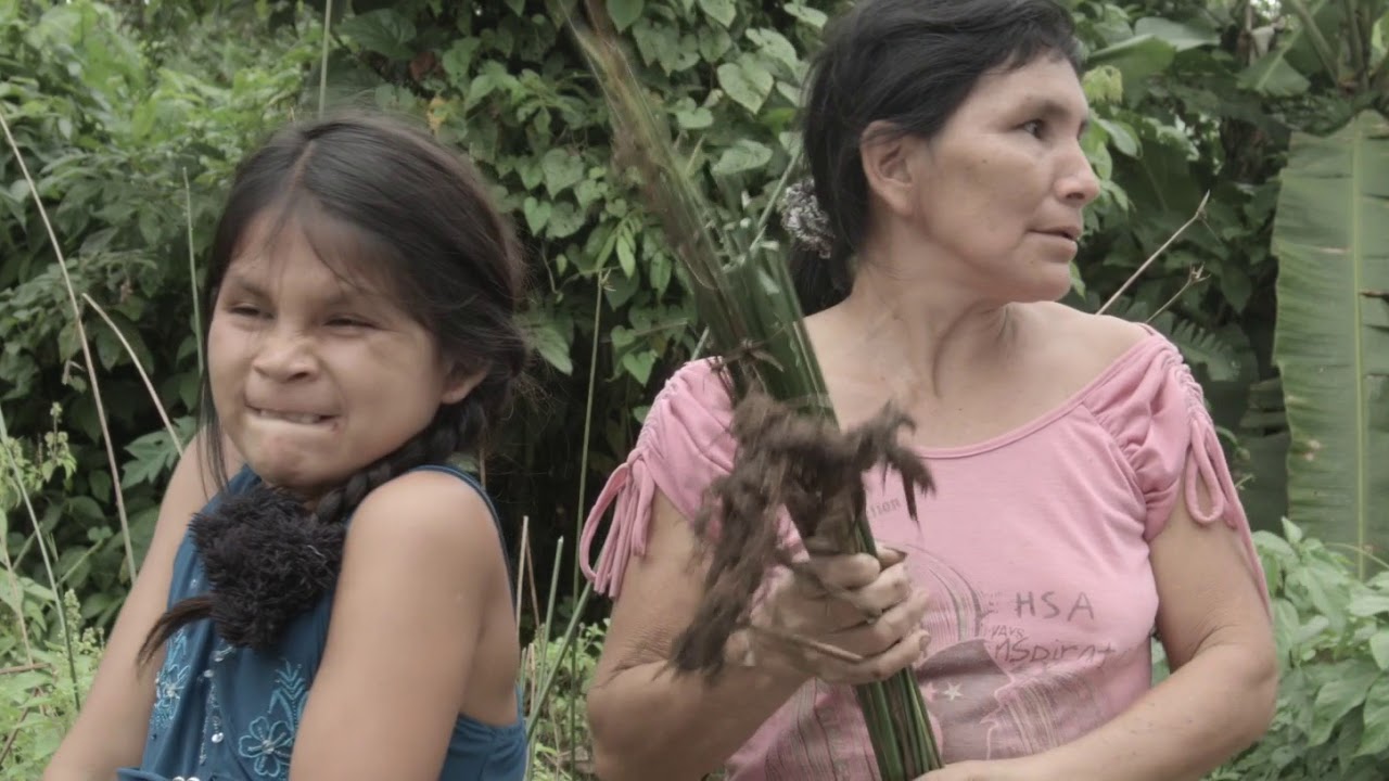 AMAHUACA LA PELICULA - YouTube