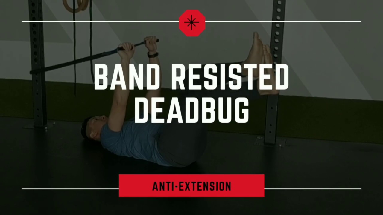 Band Resisted Deadbugs | Anti-Extension, Core Strengthening - YouTube