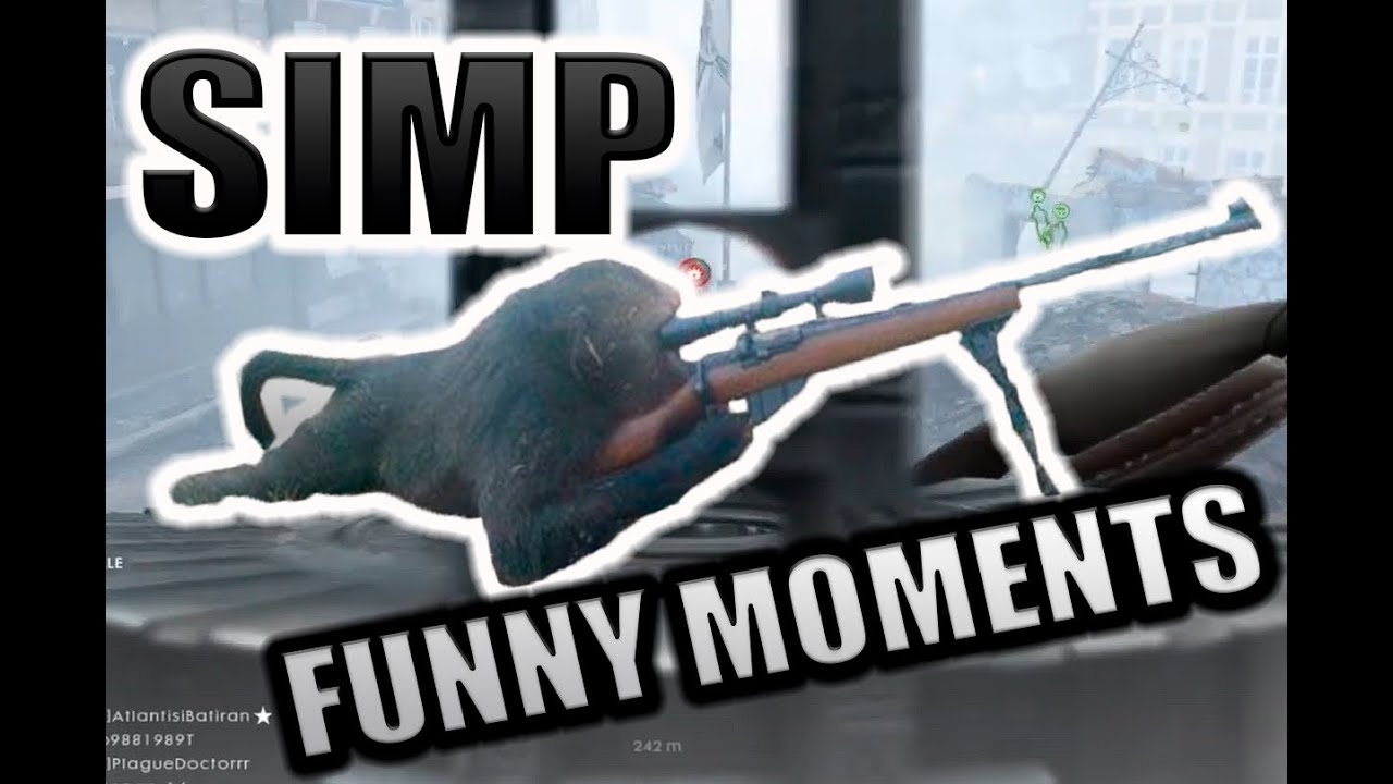 SIMP | Funny Moments - YouTube