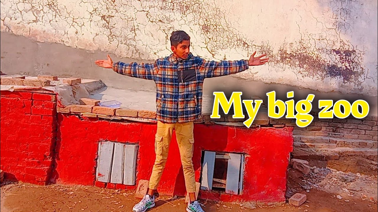 my big zoo - YouTube