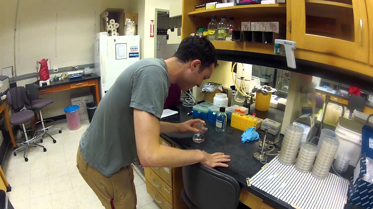 IBiS Lab "Safety" Videos: Wafting - YouTube