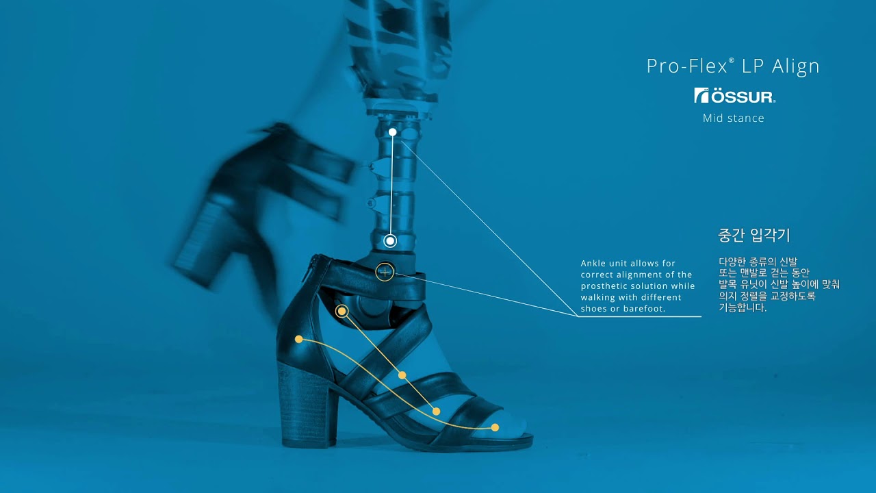 프로 플렉스 발 ProFlex LP Align Heel Animation KR - YouTube