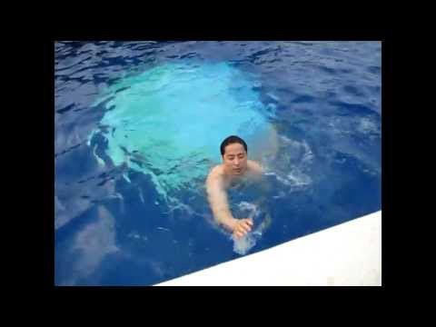 chadori swiming