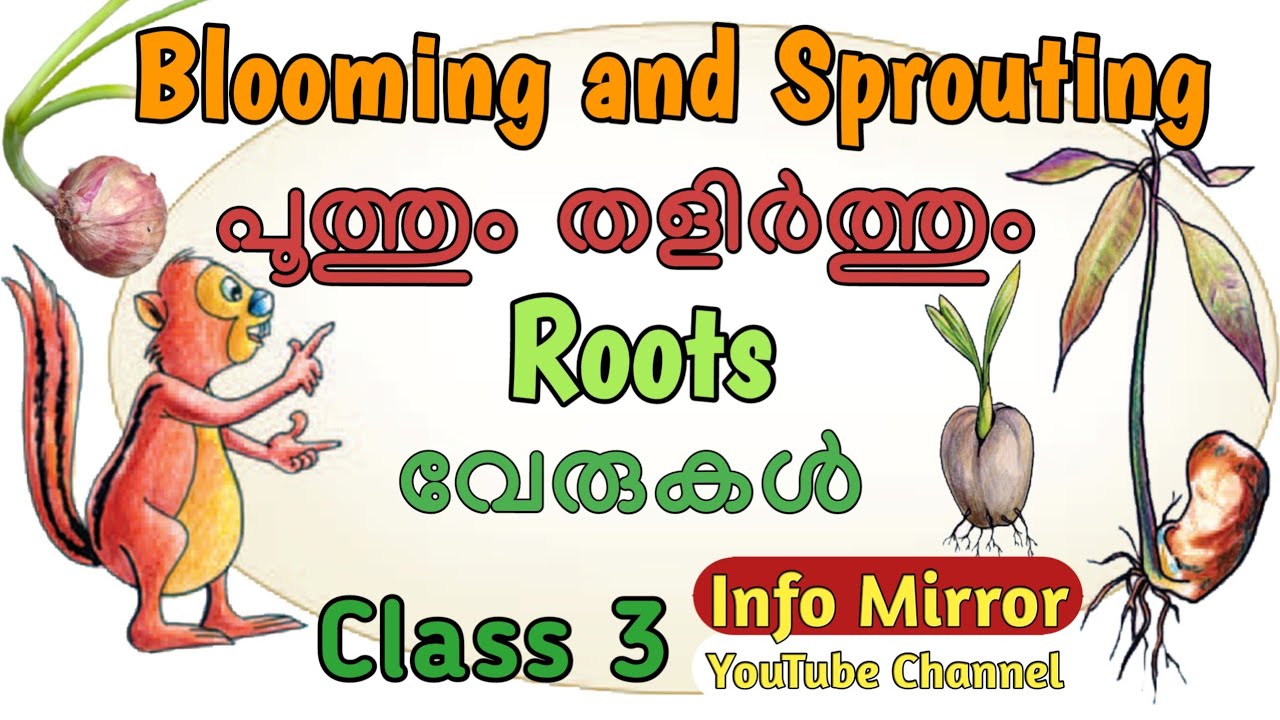 blooming-and-sprouting-part-3-evs