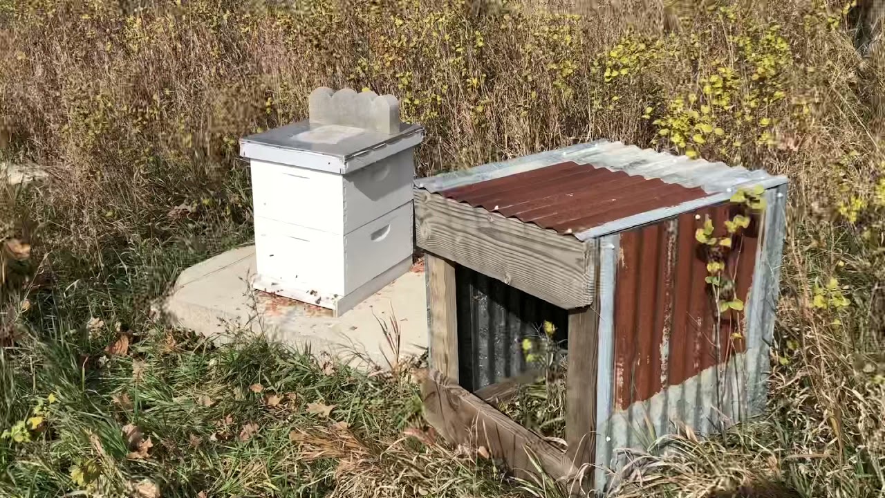 Winterizing Bee Hives - YouTube