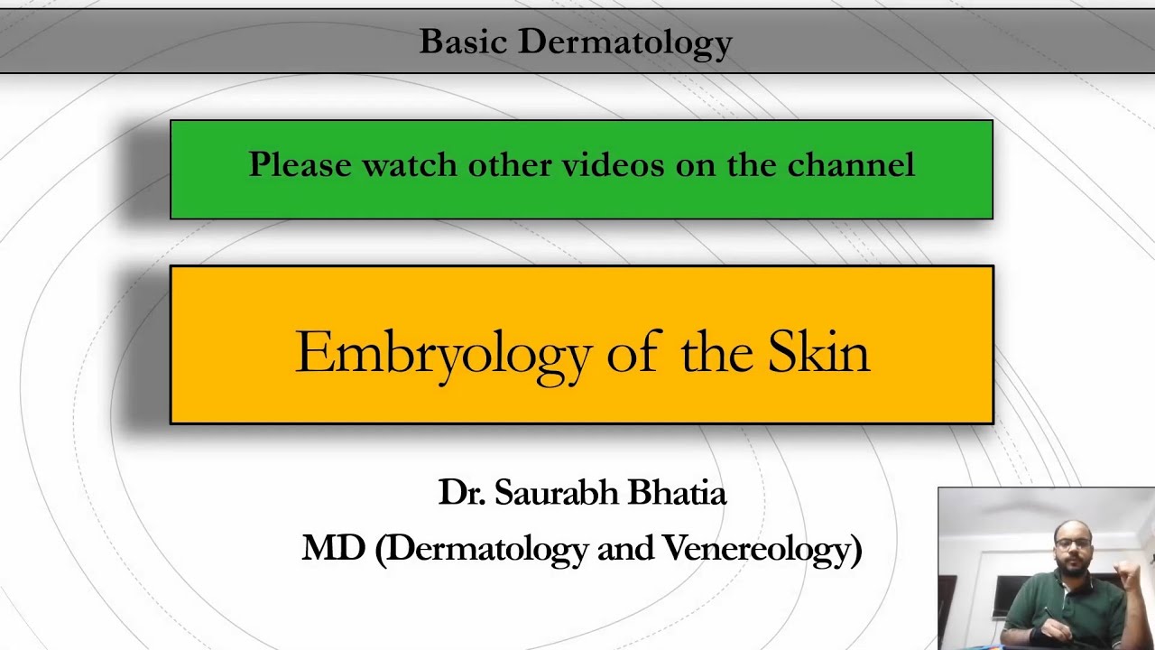 Embryogenesis of the Skin and Appendageal Structures - YouTube