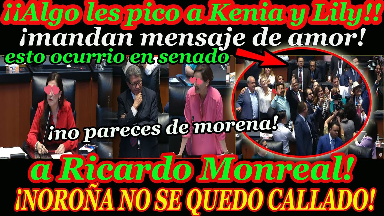 ¡SE LO QUIEREN LLEVAR AL PAN! MENSAJES DE AMOR A MONREAL KENIA LOPEZ Y ...