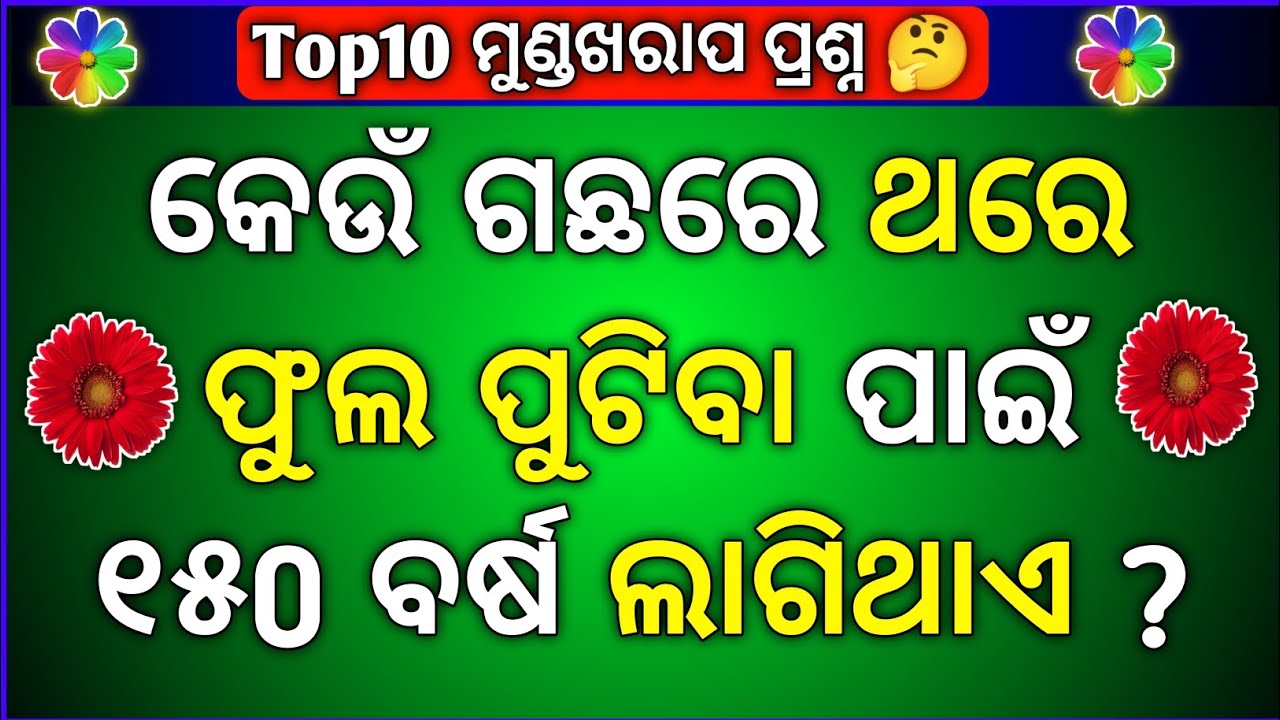 Odia Dhaga Dhamali | Clever Question and Answer | 10 Tricky Question ...