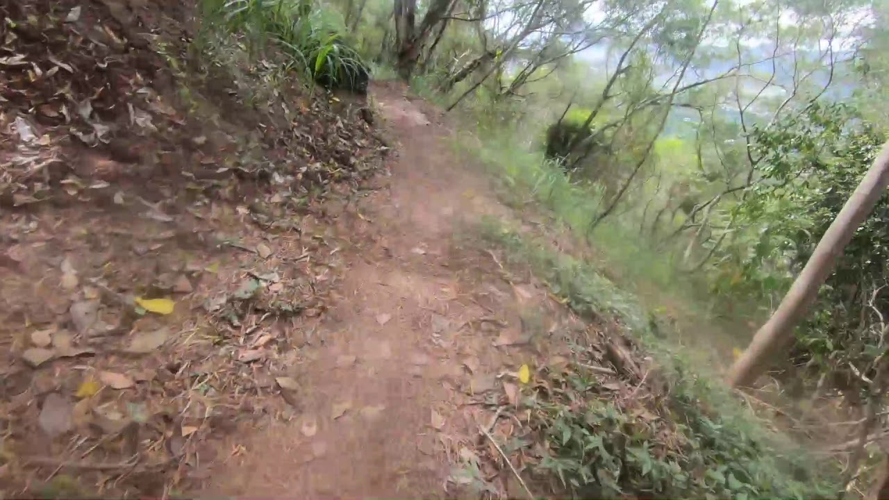 22 June 2019 Ohana trail (Mountain Biking) - YouTube