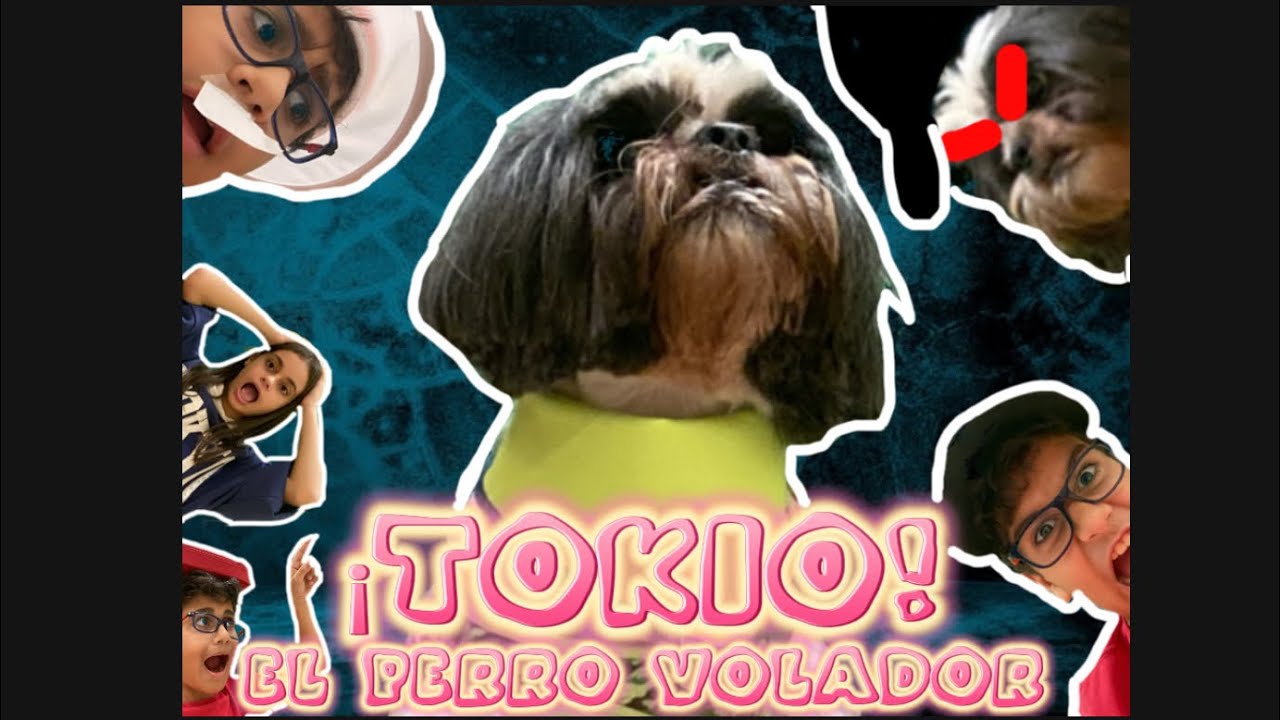 TOKIO EL PERRO VOLADOR 🐶👐🚀(la pelicula) - YouTube