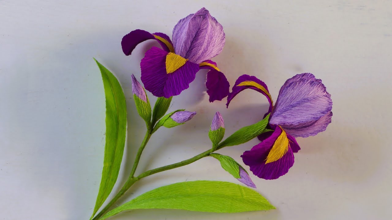 Iris Paper Flower/ How To Make Iris Flower From Crepe Paper/ Paper ...