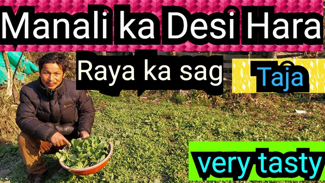Manali ka desi Rai ka sag swadishta very tasty - YouTube