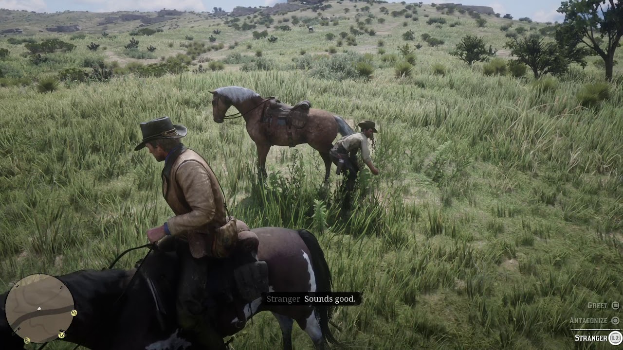 RDR2 Random Outdoor Event - YouTube