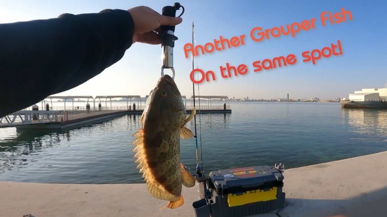 Grouper fishing in Cornich Doha Qatar - YouTube