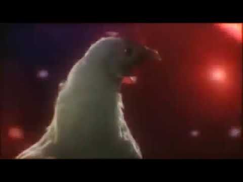 Efsane Tavuk Şarkısı Funny Chicken Song 2019