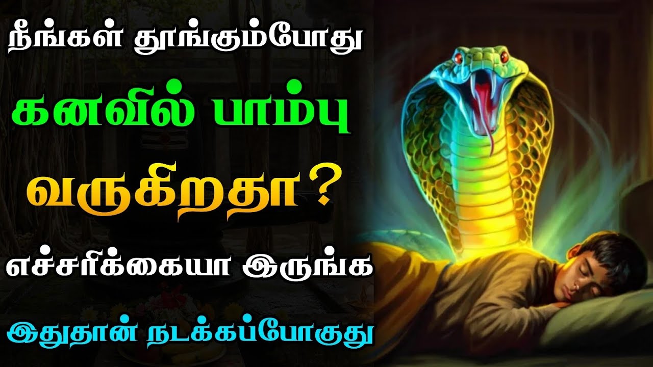 நீங்கள் தூங்கும்போது கனவில் பாம்பு வருகிறதா?🐍 உஷார்! ஆபத்து வரப்போகிறது ...