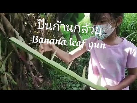 ปืนก้านกล้วย ของเล่นสมัยคุณแม่ยังเด็ก : Banana leaf gun. - YouTube