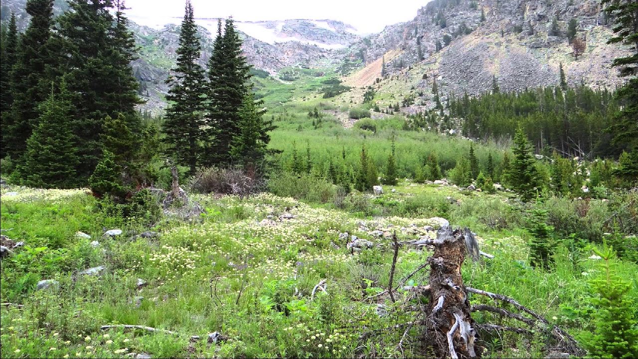 hell roaring - YouTube