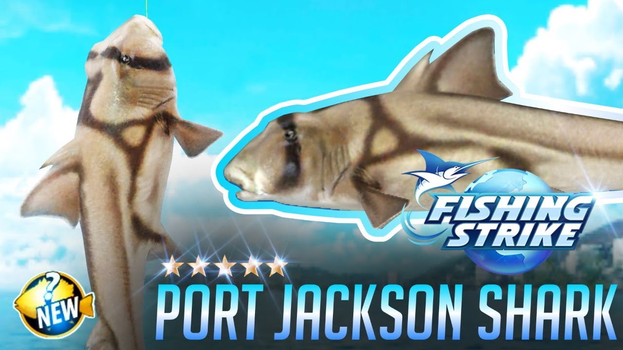 《釣魚大亨 Fishing Strike》 Mozambique Channel New fish Port Jackson Shark ...