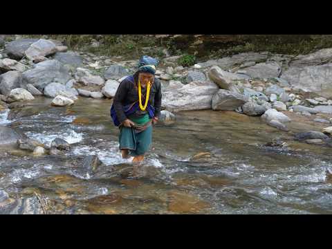 Walking through the village, going to harvest corn in the fields ll Rural village life Nepal