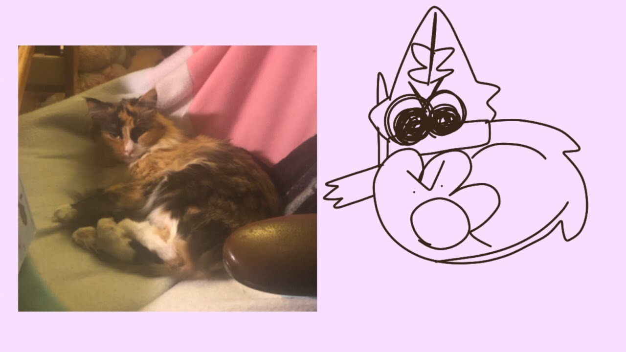 Drawing my cat until she becomes an incomprehensible shape… (filler ...