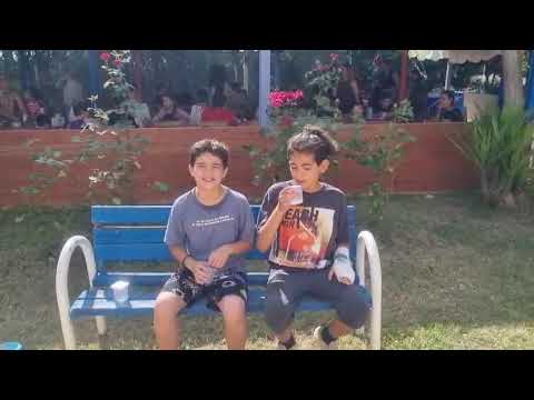 Su içiş şekilleri