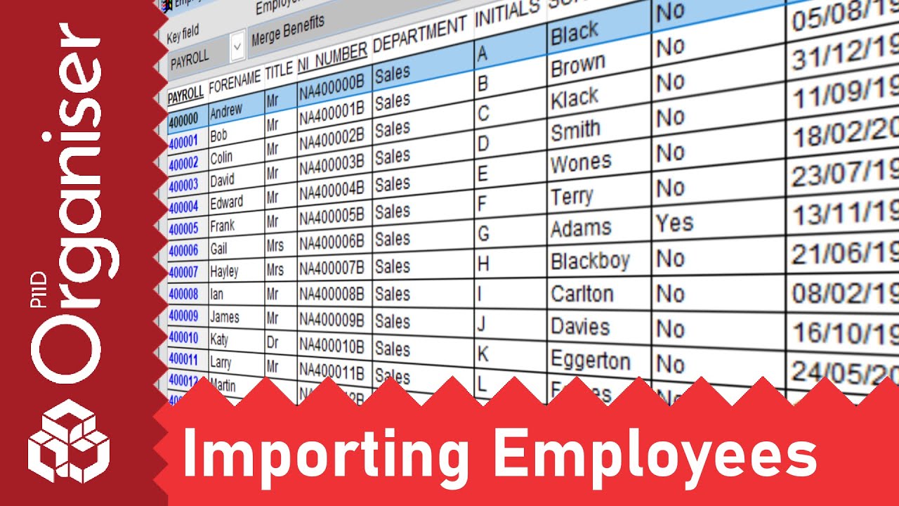 P11D Organiser || Importing Employees - YouTube