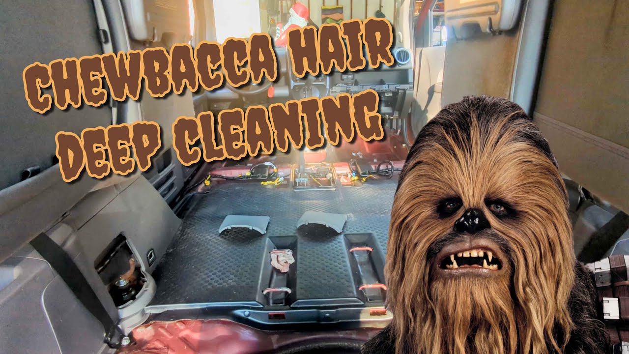 Honda element deep cleaning 🧼 Chewbacca's hair removal - YouTube