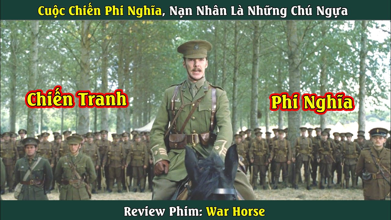 Từ chú ngựa yếu đuối, trở thành NGỰA CHIẾN trải qua 4 chiến trường khốc ...