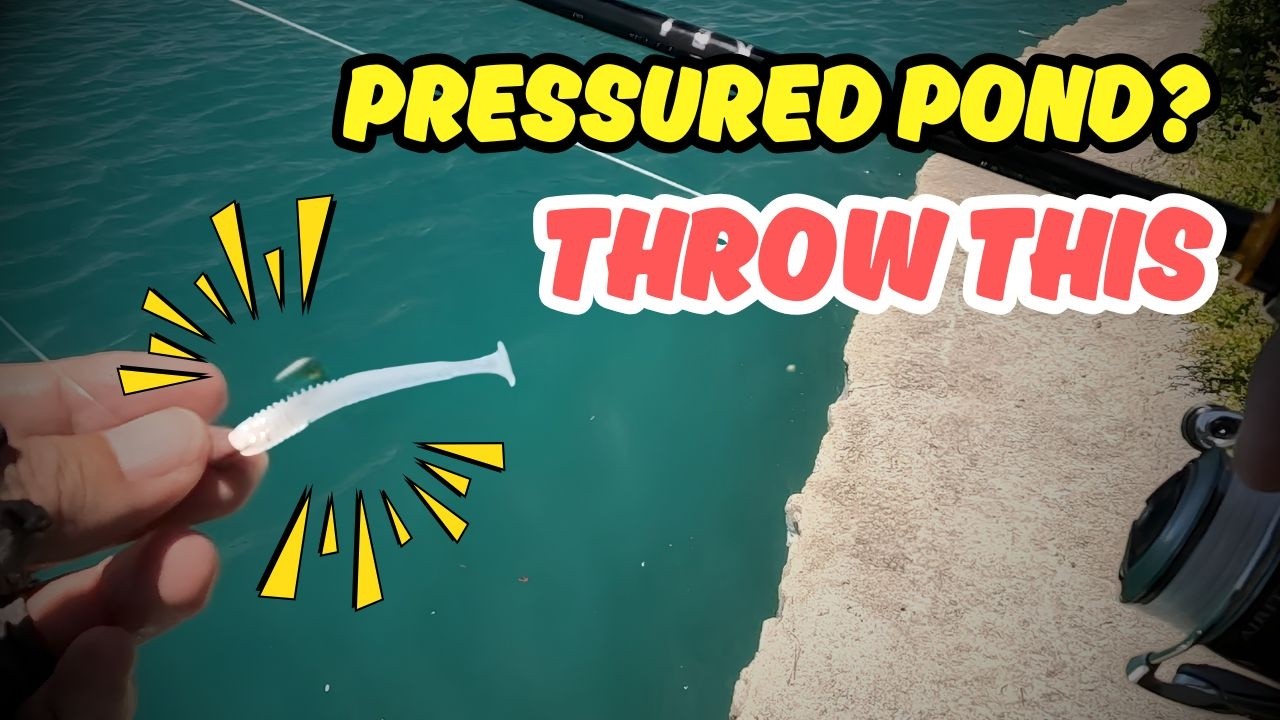 How I Catch Bass in Pressured Neighborhood Ponds - YouTube