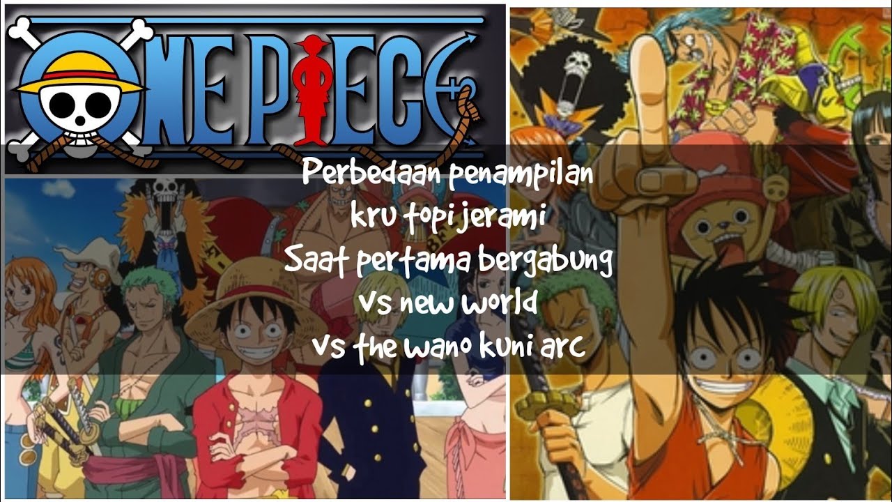 One Piece All Crew// Perbedaan penampilan kru topi jerami - YouTube