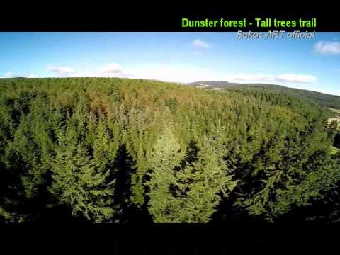Dunster Douglas - Tallest tree in England in 2009 (60,5m) aerial Bakos ...