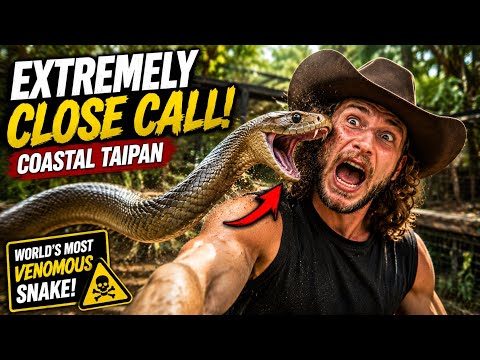 Close CALL with World's MOST Venomous Snake!