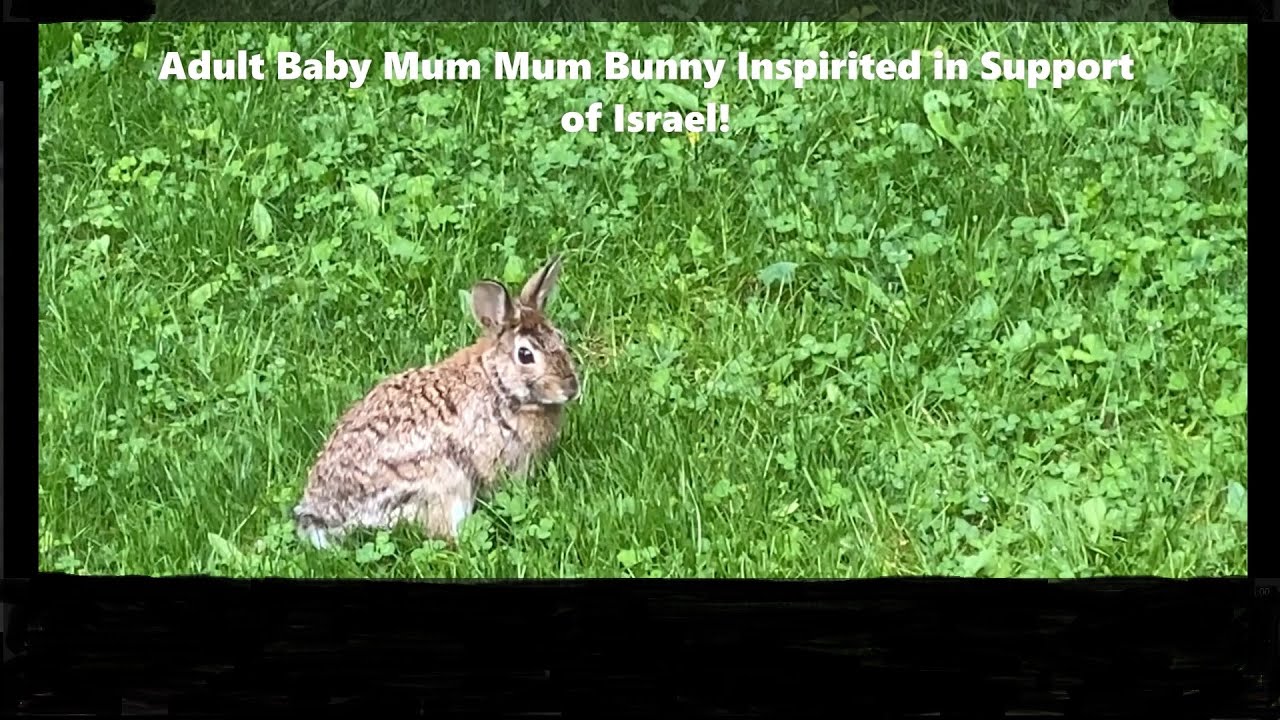 Adult Baby Mum Mum Bunny Inspirited in Support of Israel - #bunny # ...