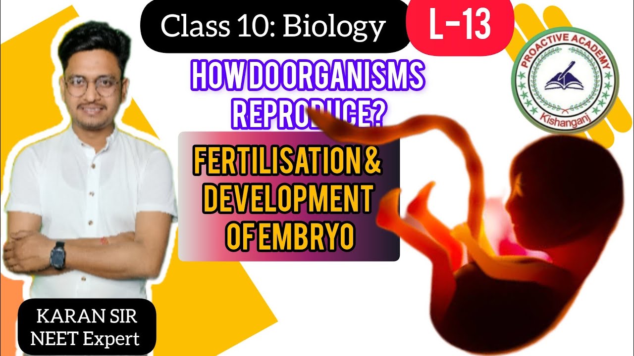 FERTILISATION & DEVELOPMENT OF EMBRYO | How do Organisms Reproduce ...