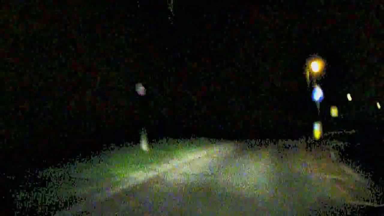 Silverfish - Harry Butcher/Shit Out Of Luck/White Lines - YouTube