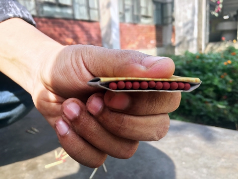 Cool Way To Light a Match || AWESOME MATCH TRICK!!!!