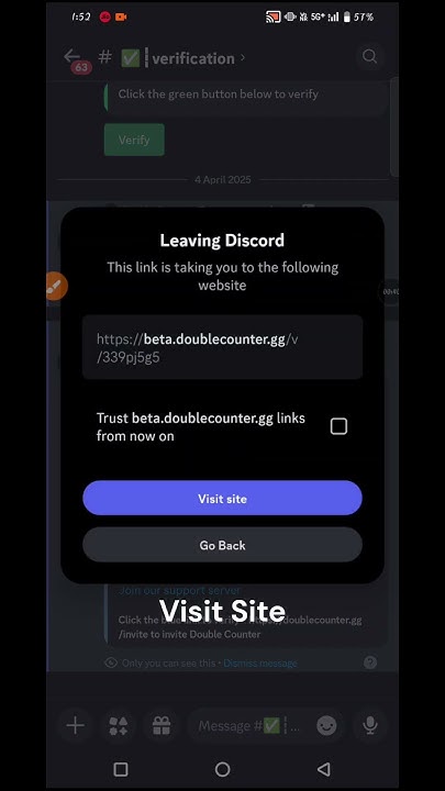 How To Do Verification In Double Counter Bot - YouTube