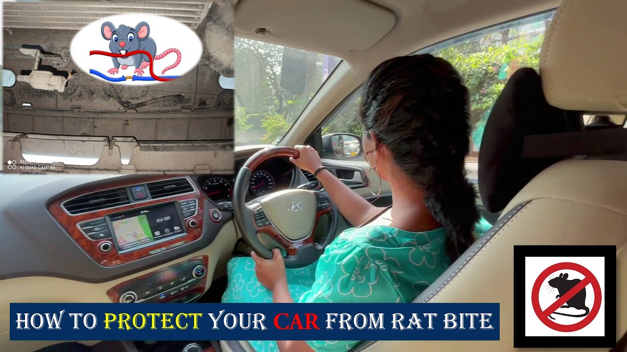 Protect your Car from Rat Bites 🐀|| Telugu Video - YouTube