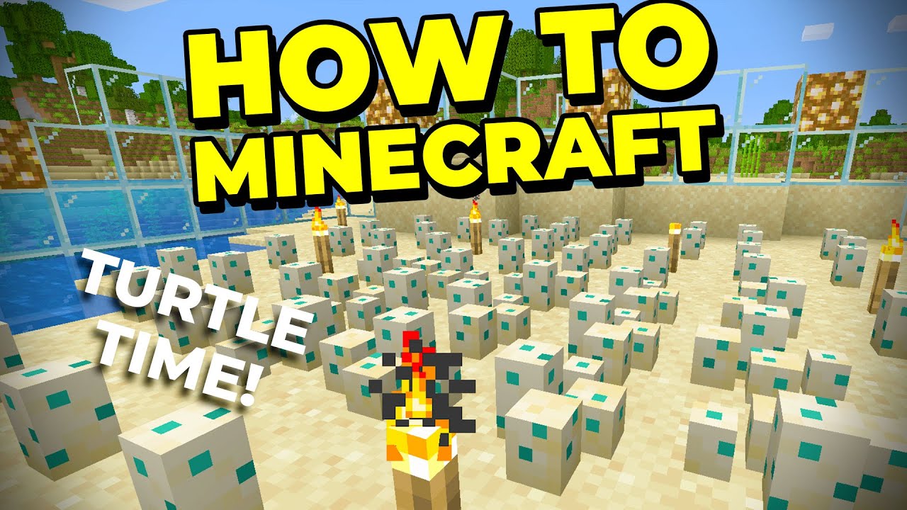 How To Get A Turtle Helmet In Minecraft How To Minecraft 49 YouTube how-to-get-a-turtle-helmet-in-minecraft-how-to-minecraft-49-youtube